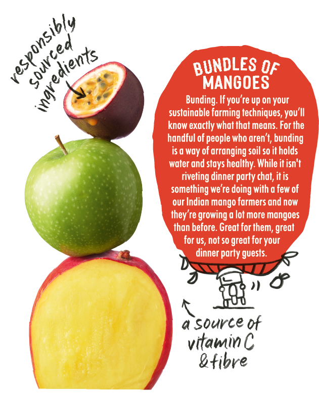 Smoothie fruits et légumes, naturellement bon - innocent